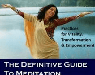 Julie Renee - The definitive guide to meditation Series