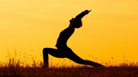 Posturecise - How To Create A Healthy Posture Habit For Life