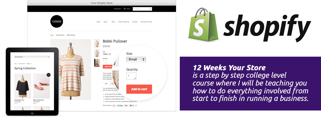 Sandi Krakowski - 12 Weeks Your Store Video Class