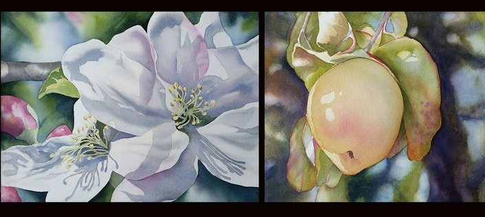 Backgrounds Shadows Special 6 - week Interactive course