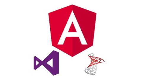 Learn Angular 8 by creating a simple Full Stack Web App