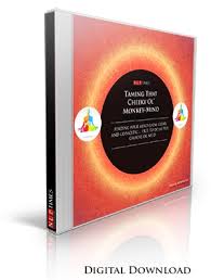 Michael Breen - Taming That Cheeky Ol’ Monkey Mind