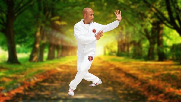 Tai Chi - Yang style- Chi Kung