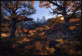 Eric Bennett - Tapestry Processing Tutorial - Supporting Your Learning ...