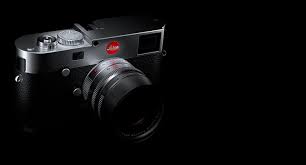 Maxwellzone - Basics & Beyond course - Supporting Your Learning and Development