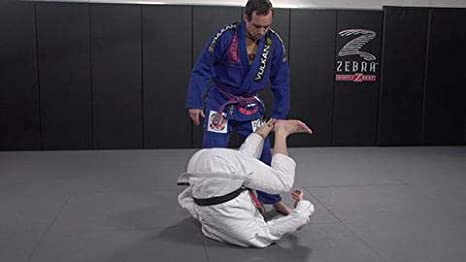 Budo Jake - Going Upside Down - A Beginner's Guide to Inverting for BJJ ...