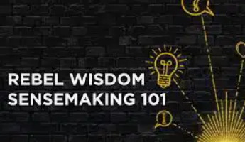 Rebel Wisdom - Sensemaking 101 - Supporting Your Learning and Development