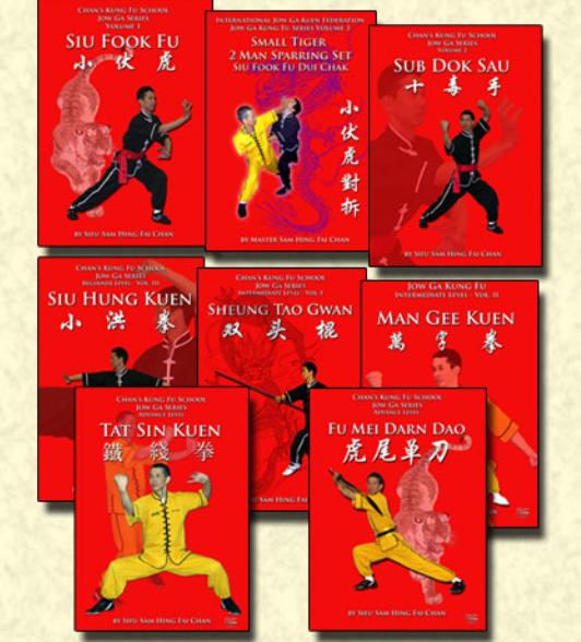 Sam Chan - Jow Ga - Supporting Your Learning and Development