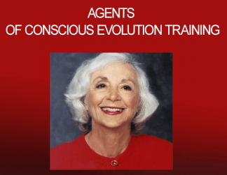 Agents of Conscious Evolution Training - Supporting Your Learning and Development