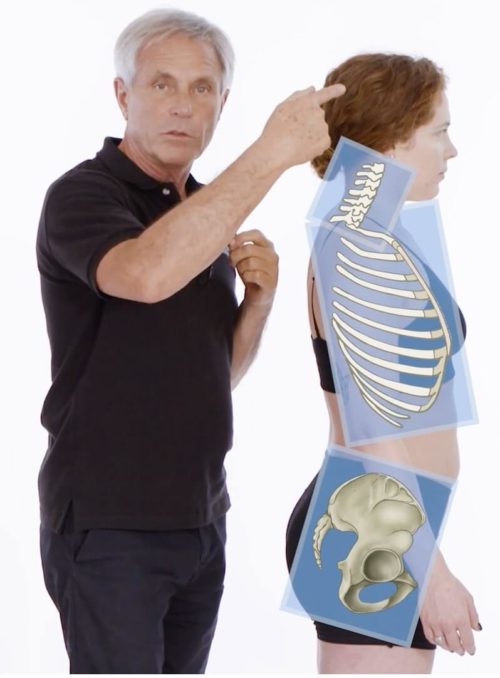 Anatomy Trains Structural Integration (ATSI) 3 Series - Supporting Your ...