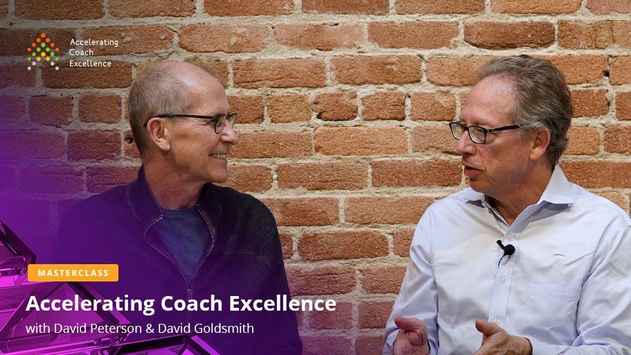 David Peterson and David Goldsmith - Accelerating Coach Excellence ...