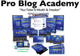 Ray Higdon - Pro Blog Academy - Supporting Your Learning and Development
