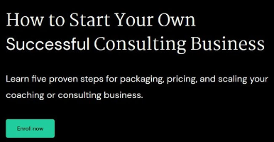 Terry Rice - How to Start Your Own Successful Consulting Business - Supporting Your Learning and ...