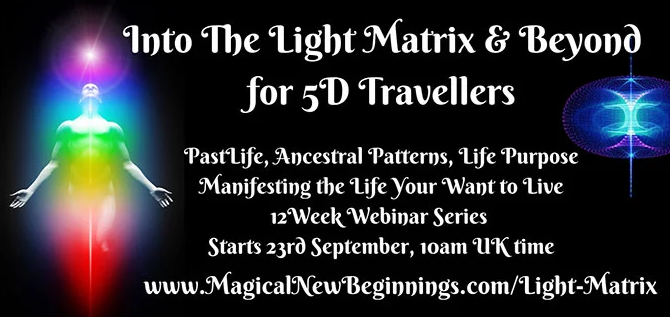 Sharon King - Into the Light Matrix and Beyond for 5D Travellers ...