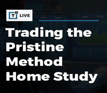 Trading The Pristine Method Home Study Course - Supporting Your Learning and Development