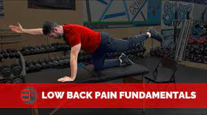 Dr. Michael Mash - Low Back Pain Fundamentals - Supporting Your ...
