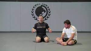 Shawn Williams - Dynamic Leg Pummeling - Supporting Your Learning and ...