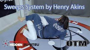 Henry Akins - Sweeps System - Supporting Your Learning and Development