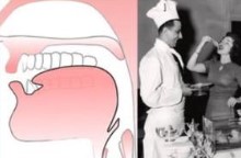 Mewing World - Natural Harmonization of Face - Supporting Your Learning ...