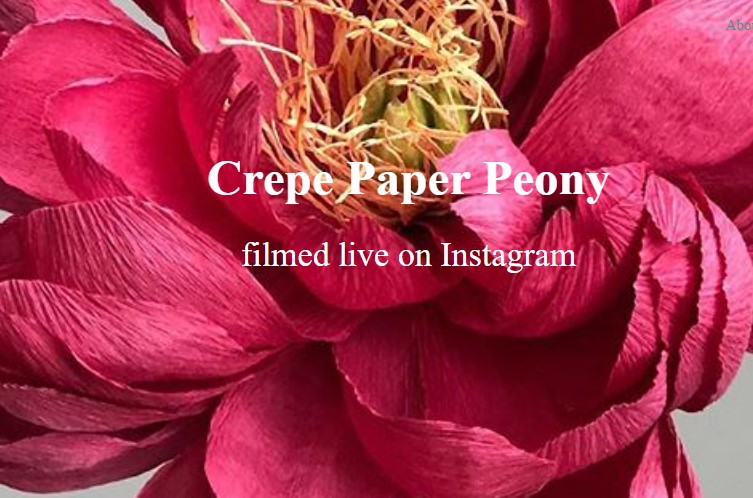 Amity Katharine Libby - Crepe Paper Peony - Supporting Your Learning ...