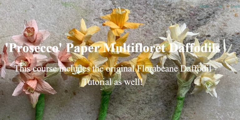 Amity Katharine Libby - 'Prosecco' Paper Multifloret Daffodils - Supporting Your Learning and ...