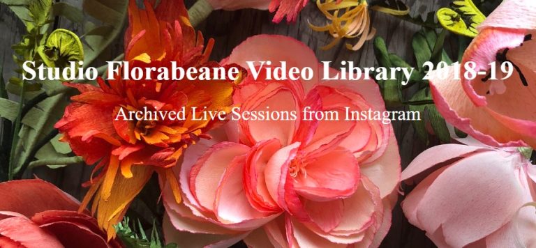 Amity Katharine Libby - Studio Florabeane Video Library 2018-19 - Supporting Your Learning and ...