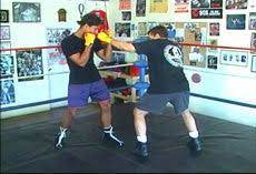 Chris Getz - Ultimate Boxing 8 DVD Set - Supporting Your Learning and ...