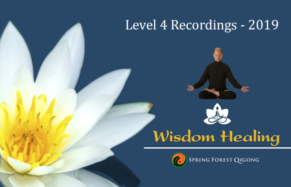 Master Chunyi Lin - Wisdom Healing - Higher Vibration Qigong Meditation ...