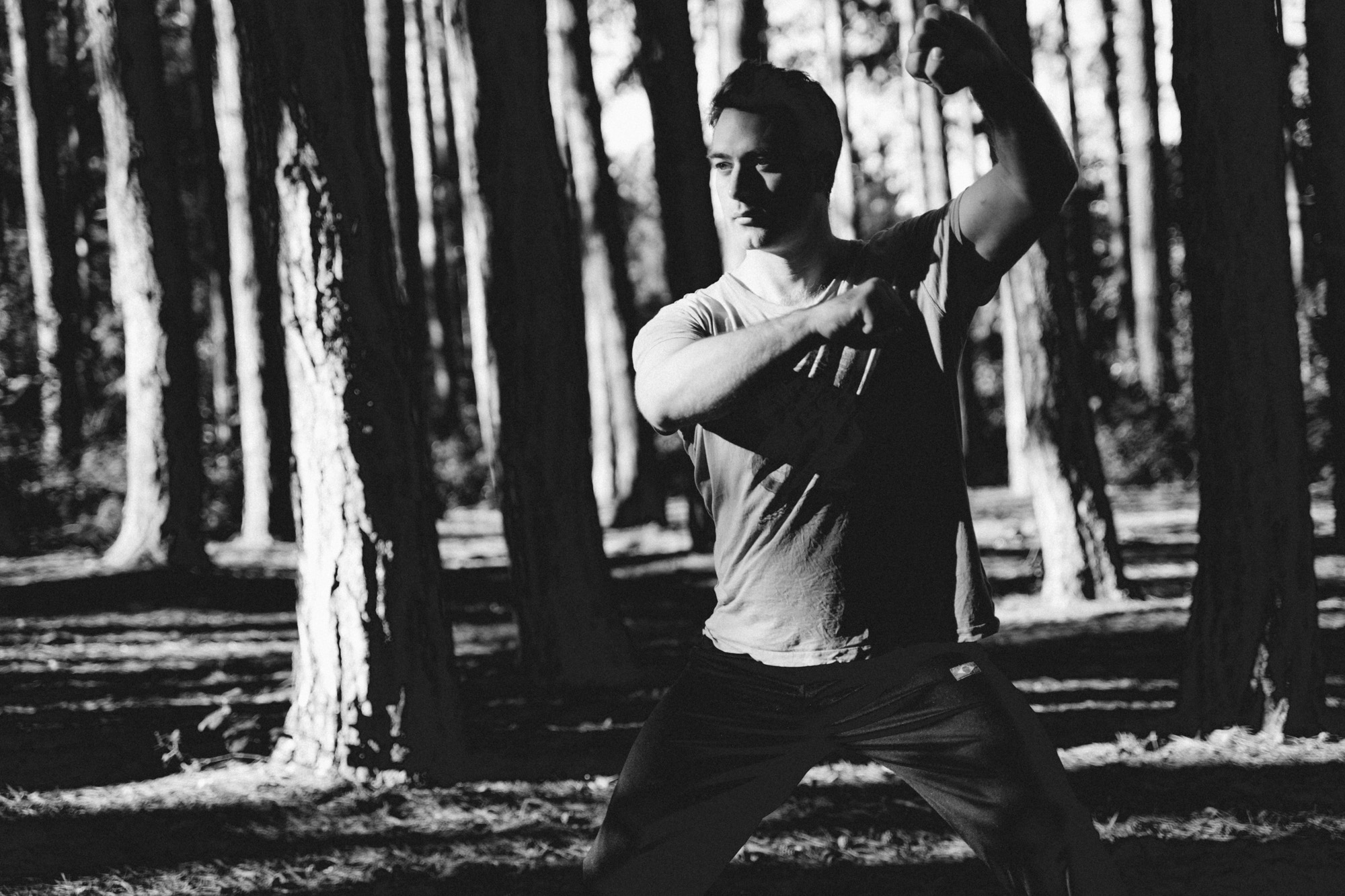 Sifu Neil Rosiak - Online Tai Chi Neigong Course - Supporting Your ...