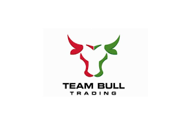 Team Bull Trading Academy Course - Supporting Your Learning and Development