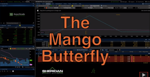 Jay Bailey - The Mango Butterfly Deep Dive 2023 - Supporting Your ...