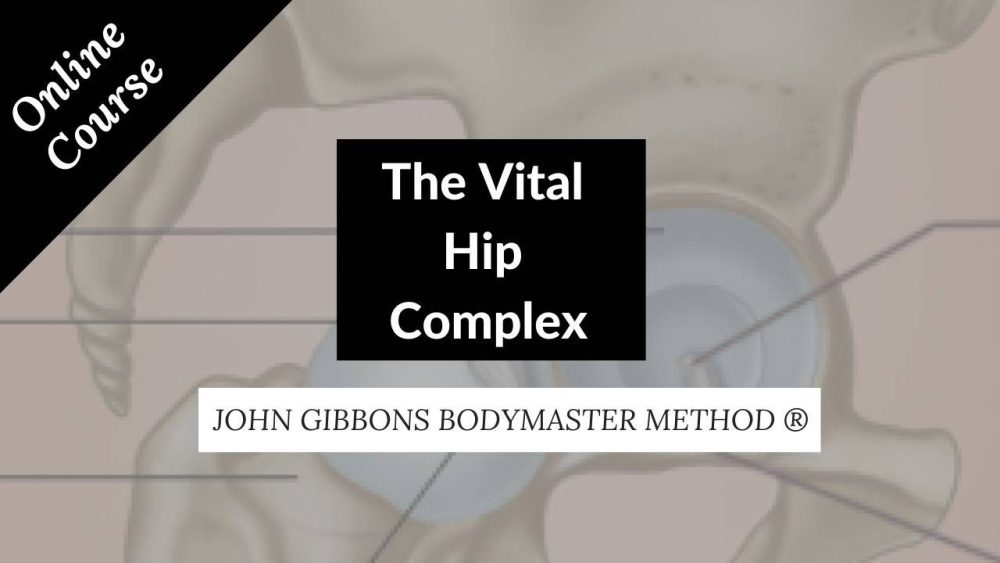 John Gibbons - The Vital Hip Complex - Supporting Your Learning and ...