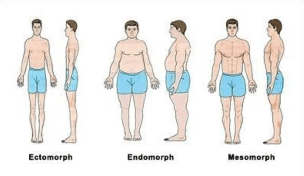 Sigh Energy - Male Mesmomorphic body Powerful Plus +11x(Extra Strong ...
